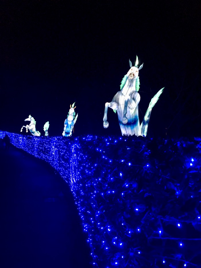 Glasgow Gallivanting: January 2019 – The Glasgow Gallivanter
