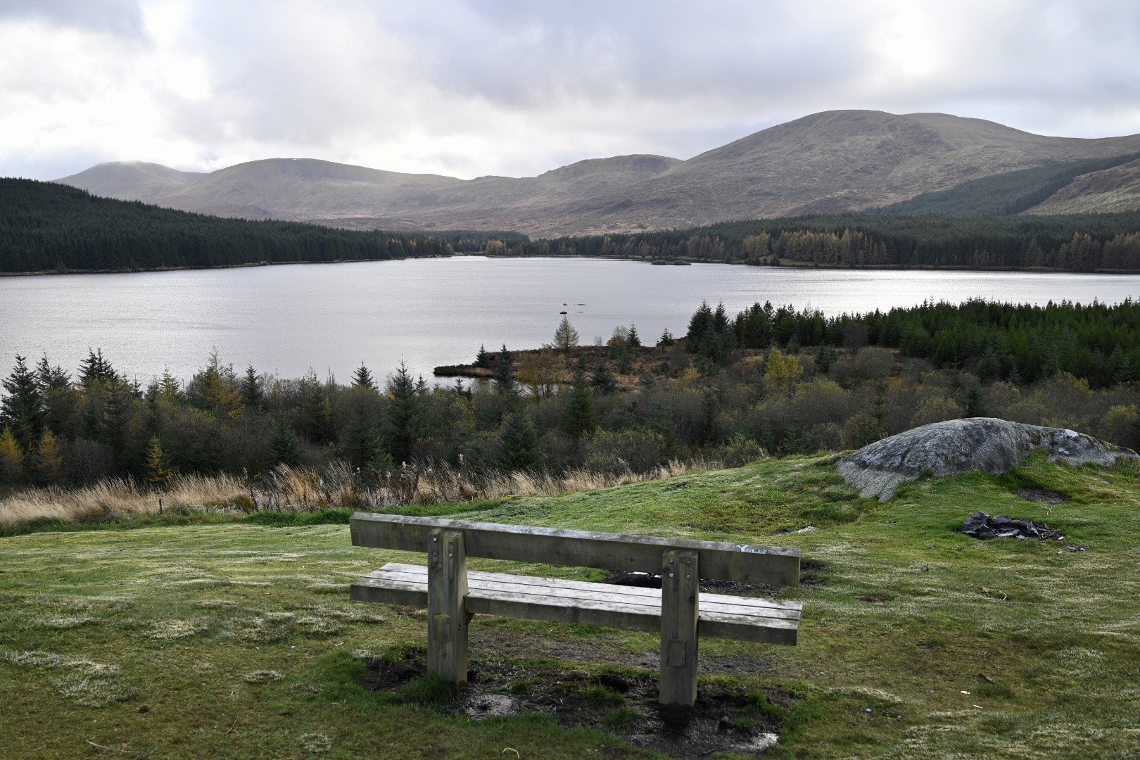 Carrick Forest Drive – The Glasgow Gallivanter