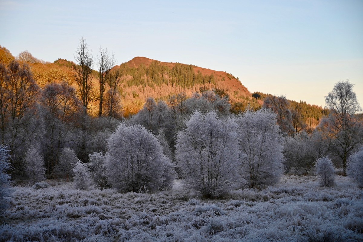 Going up Doon Hill – The Glasgow Gallivanter