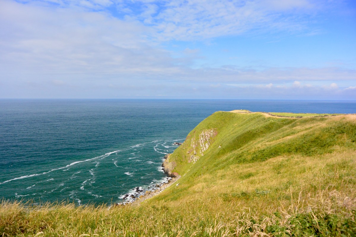 Cove to Siccar Point – The Glasgow Gallivanter