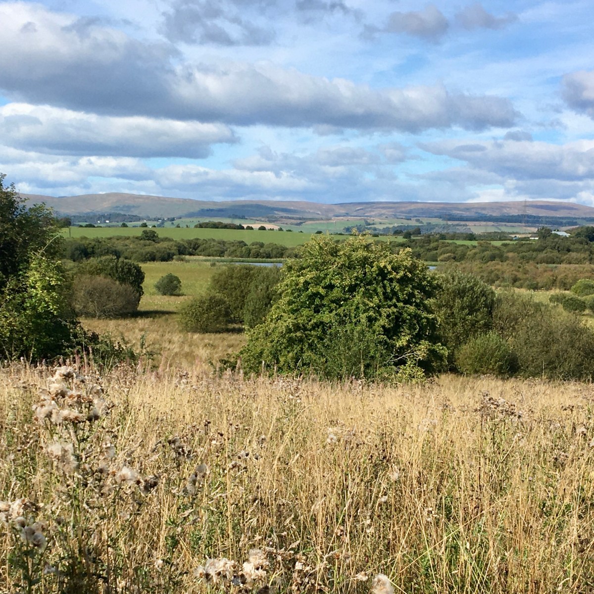 WalkingSquares: Possil Loch – The Glasgow Gallivanter